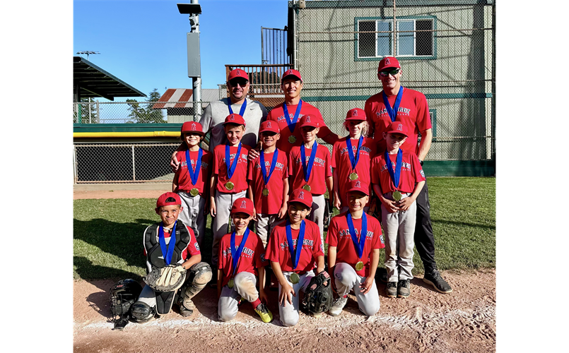 Santa Cruz Little League > Home